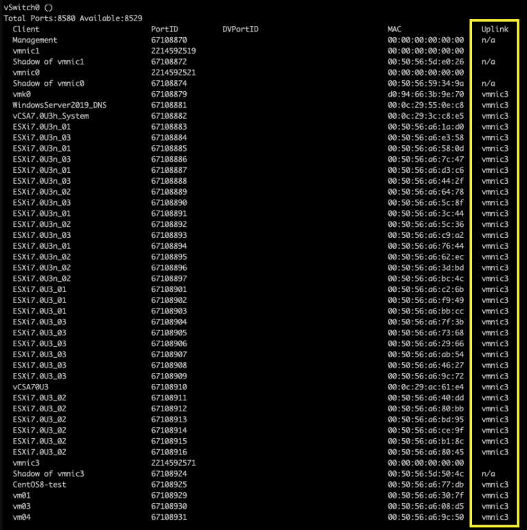 [VMware vSphere] 仮想マシンがどの vmnic を使用して通信を行っているか確認する | エンジニアmemo